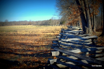 Home [tgerdesphotos.com]